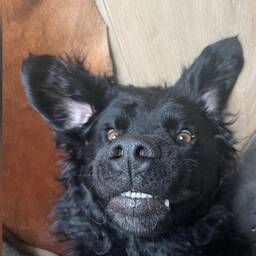 Yahoo Bug Bounty - Bug Bounty Program - Intigriti